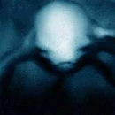 Ningen | Cryptid Wiki | Fandom