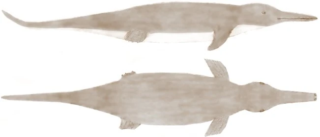 Gambo | Cryptid Wiki | Fandom