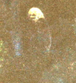 Marked Hominids | Cryptid Wiki | Fandom