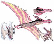 Kongamato | Cryptid Wiki | Fandom