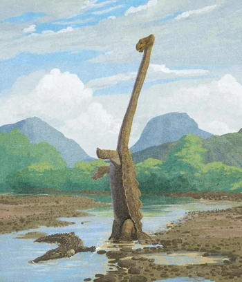 Row | Cryptid Wiki | Fandom