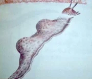 Kussie | Cryptid Wiki | Fandom