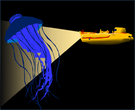 Giant Jellyfish | Cryptid Wiki | Fandom
