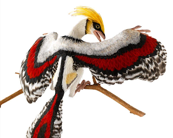 Gitmo Bird | Cryptid Wiki | Fandom