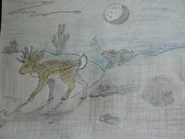 Jackalope | Cryptid Wiki | Fandom