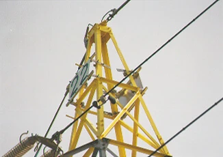 Shibata Giant Spider | Cryptid Wiki | Fandom