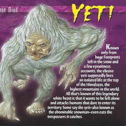 yeti description