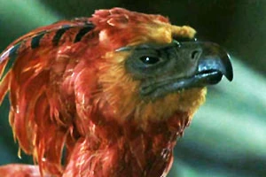 Phoenix | Cryptid Wiki | Fandom