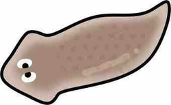 Giant Planaria | Cryptid Wiki | Fandom