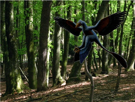 Lone Pine Mountain Devil | Cryptid Wiki | Fandom