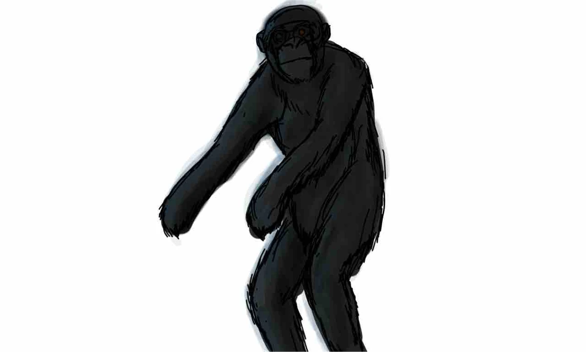 Reiwa Hibagon | Cryptid Wiki | Fandom