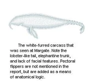 Trunko | Cryptid Wiki | Fandom