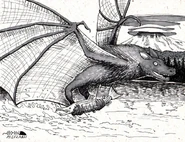 Batsquatch | Cryptid Wiki | Fandom