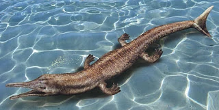 Flathead Lake Monster | Cryptid Wiki | Fandom