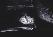 Loveland Frogmen | Cryptid Wiki | Fandom