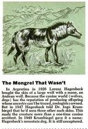Andean Wolf | Cryptid Wiki | Fandom