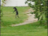 Loveland Frogmen | Cryptid Wiki | Fandom