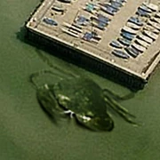 Crabzilla | Cryptid Wiki | Fandom