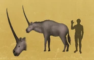 Unicorn | Cryptid Wiki | Fandom