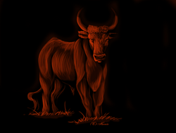 Aatxe | Cryptid Wiki | Fandom
