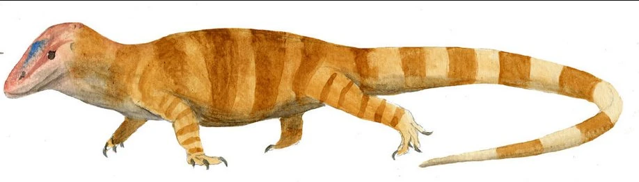 Yazd Lizard | Cryptid Wiki | Fandom