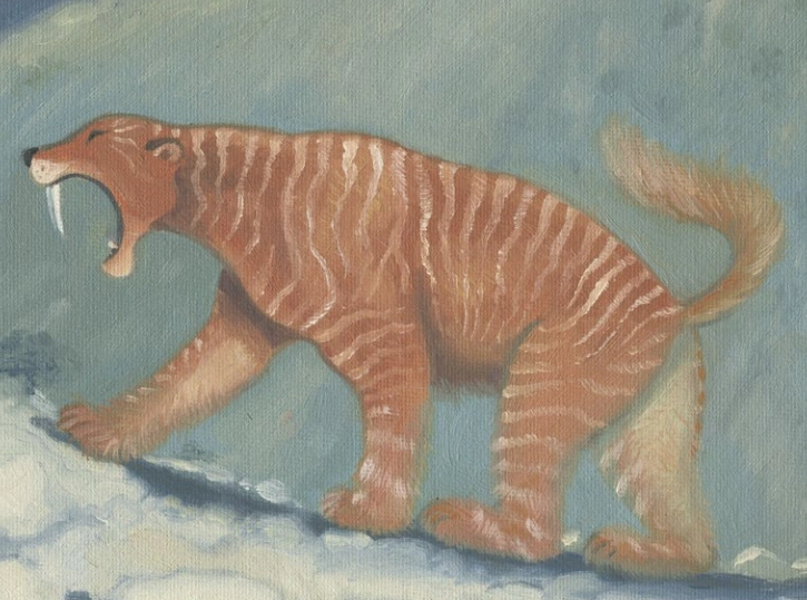 Ennedi Tiger | Cryptid Wiki | Fandom