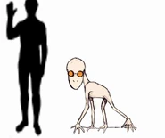 Dover Demon | Cryptid Wiki | Fandom