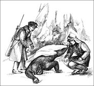 Yeren | Cryptid Wiki | Fandom