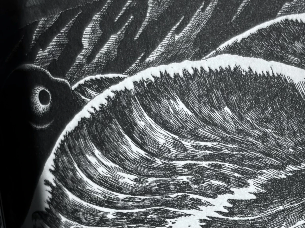 Giant Creature of Ohzuchi Dam | Cryptid Wiki | Fandom