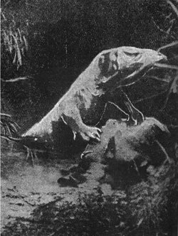 Kasai Rex Cryptid