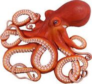 Oklahoma Octopus | Cryptid Wiki | Fandom