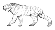 Ennedi Tiger | Cryptid Wiki | Fandom