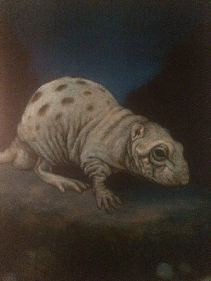 Flæðarmús | Cryptid Wiki | Fandom