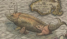 Sea Swine | Cryptid Wiki | Fandom