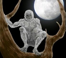 Mátranovák Treeskinner | Cryptid Wiki | Fandom