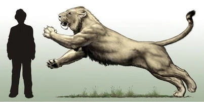 Buffalo Lion | Cryptid Wiki | Fandom