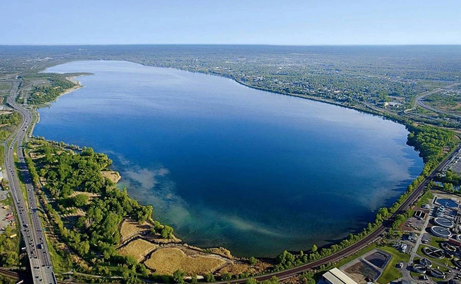 Oggie | Cryptid Wiki | Fandom