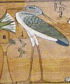 Bennu Bird | Cryptid Wiki | Fandom