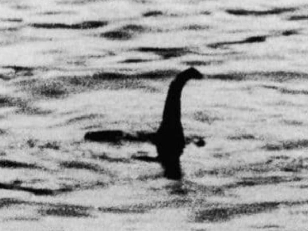 Ahool in Java that happen? | Fandom