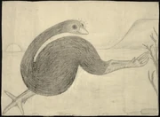 Moa | Cryptid Wiki | Fandom