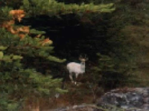 Phantom of Patagonia | Cryptid Wiki | Fandom