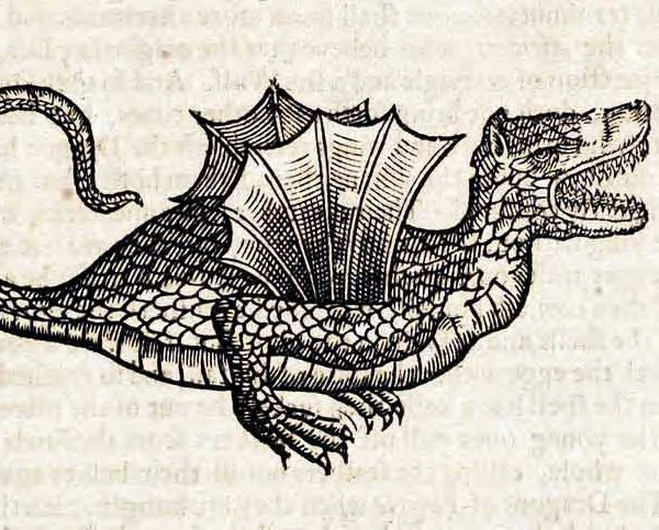 Classic Dragons (Western Cultures) | Cryptid Wiki | Fandom