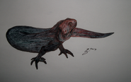 Tatzelwurm | Cryptid Wiki | Fandom