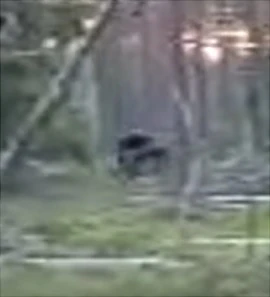 Chelyabinsk Creature | Cryptid Wiki | Fandom