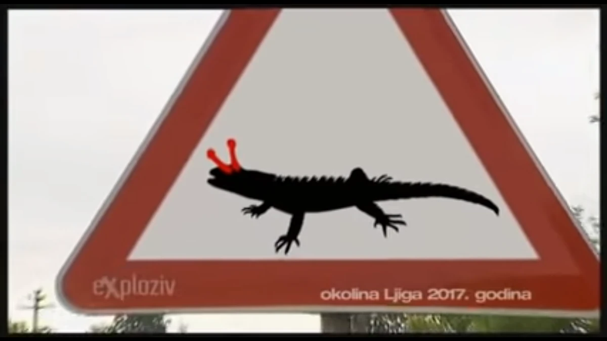 Beast of Ljig | Cryptid Wiki | Fandom