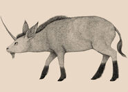Unicorn | Cryptid Wiki | Fandom