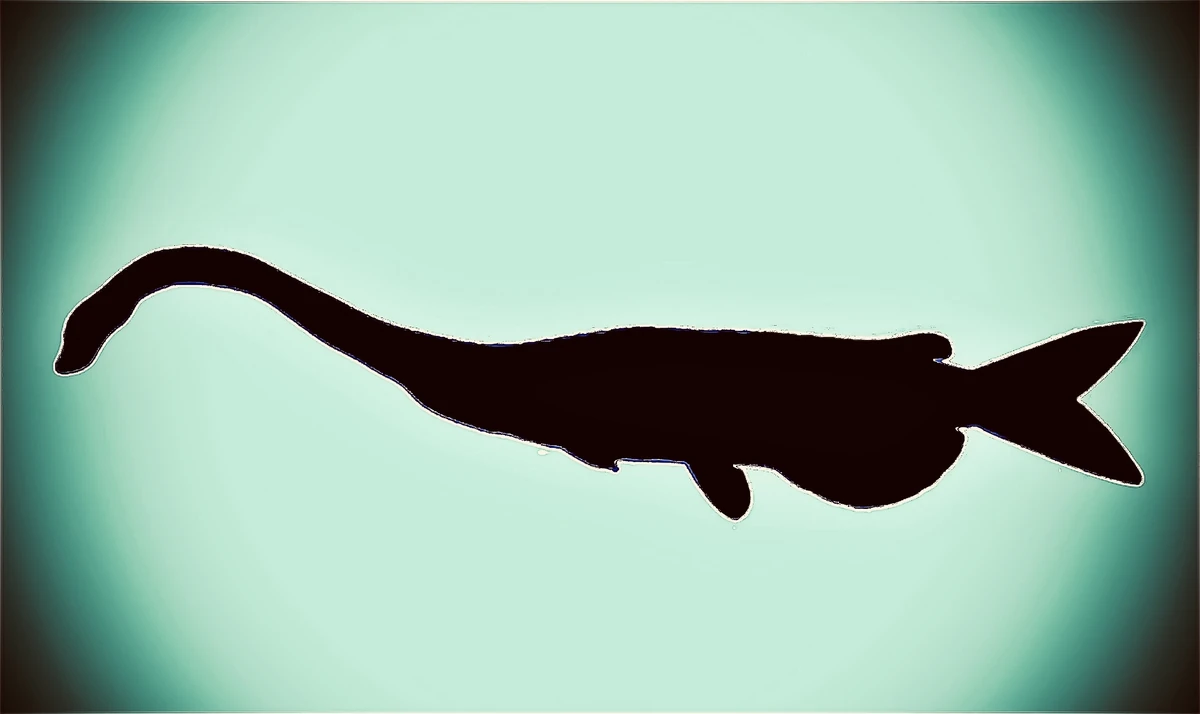 Monster Fish of Lake Amehata | Cryptid Wiki | Fandom