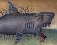 Megalodon | Cryptid Wiki | Fandom