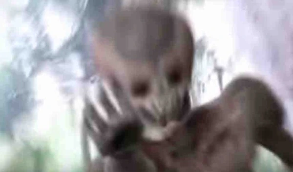 Kamakura Humanoid | Cryptid Wiki | Fandom