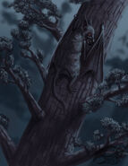 Batsquatch | Cryptid Wiki | Fandom